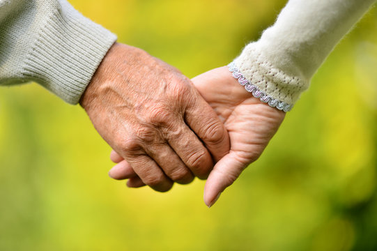 Guiding Hands: Navigating the Journey of Decision-Making for Aging ...